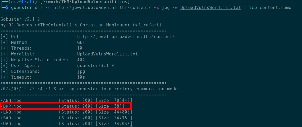 【TryHackMe】Upload VulnerabilitiesのChallenge問題WriteUp｜やわらかセキュリティ